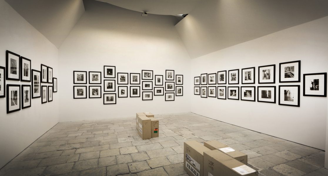 Exhibitions – David Pisani